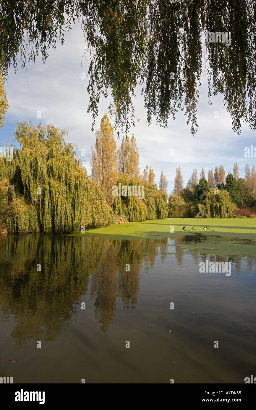 River Colne Colchester High Resolution Stock Photography and Images - Alamy