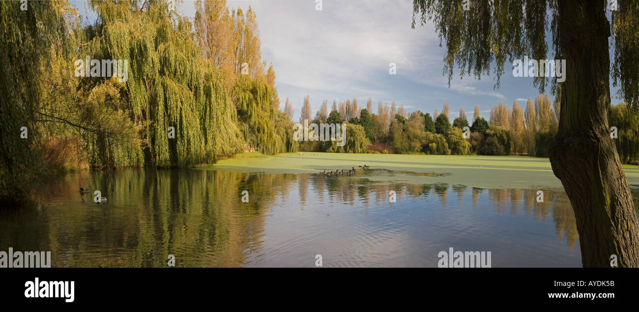 the River Colne leading from the bottom of East Hill to the Castle Park ...