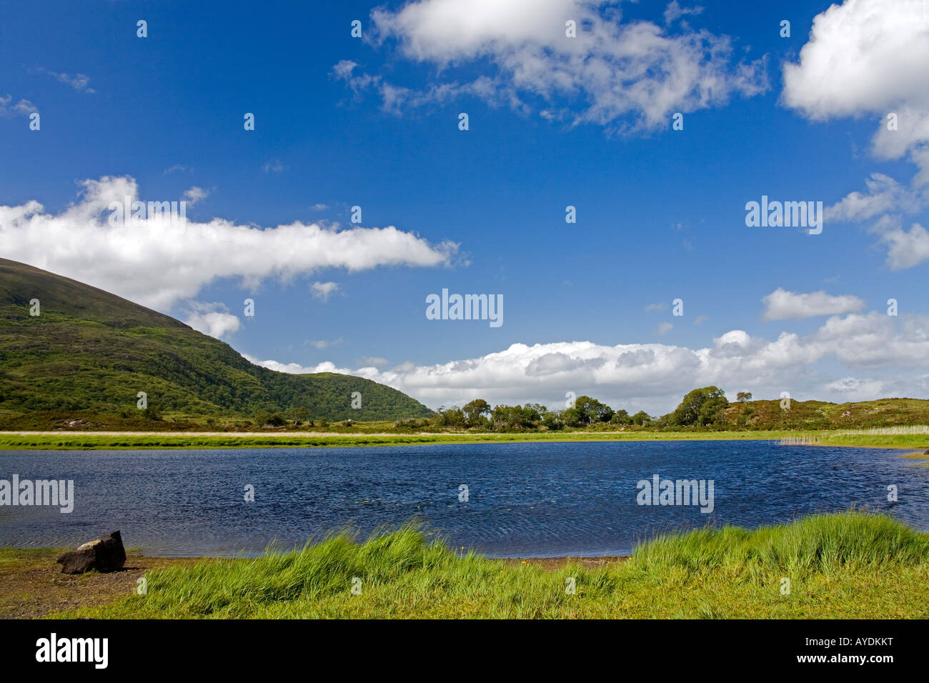 Upper lake Killarney National Park County Kerry Ireland Stock Photo - Alamy