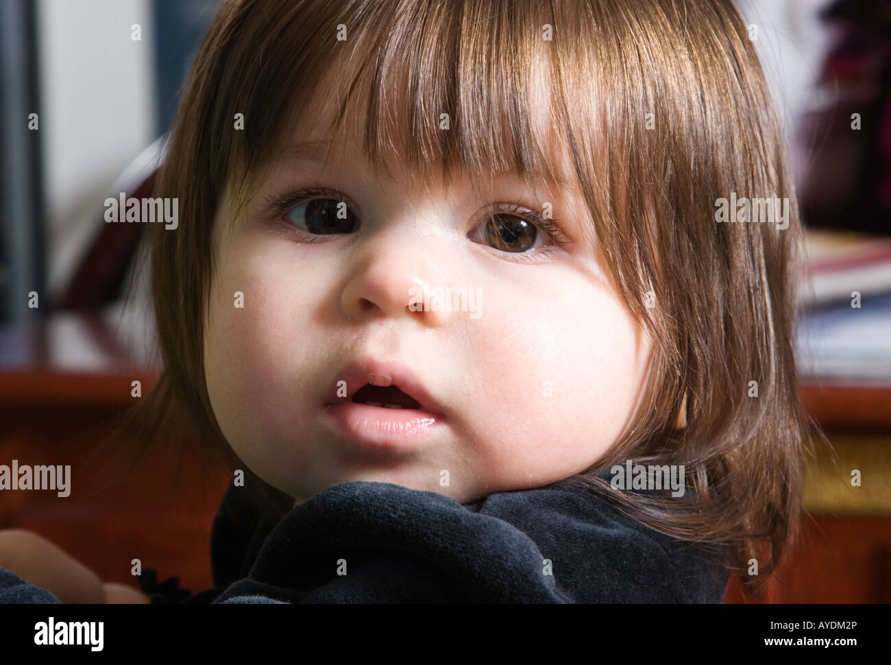 Portrait of a nine month old baby girl Stock Photo - Alamy