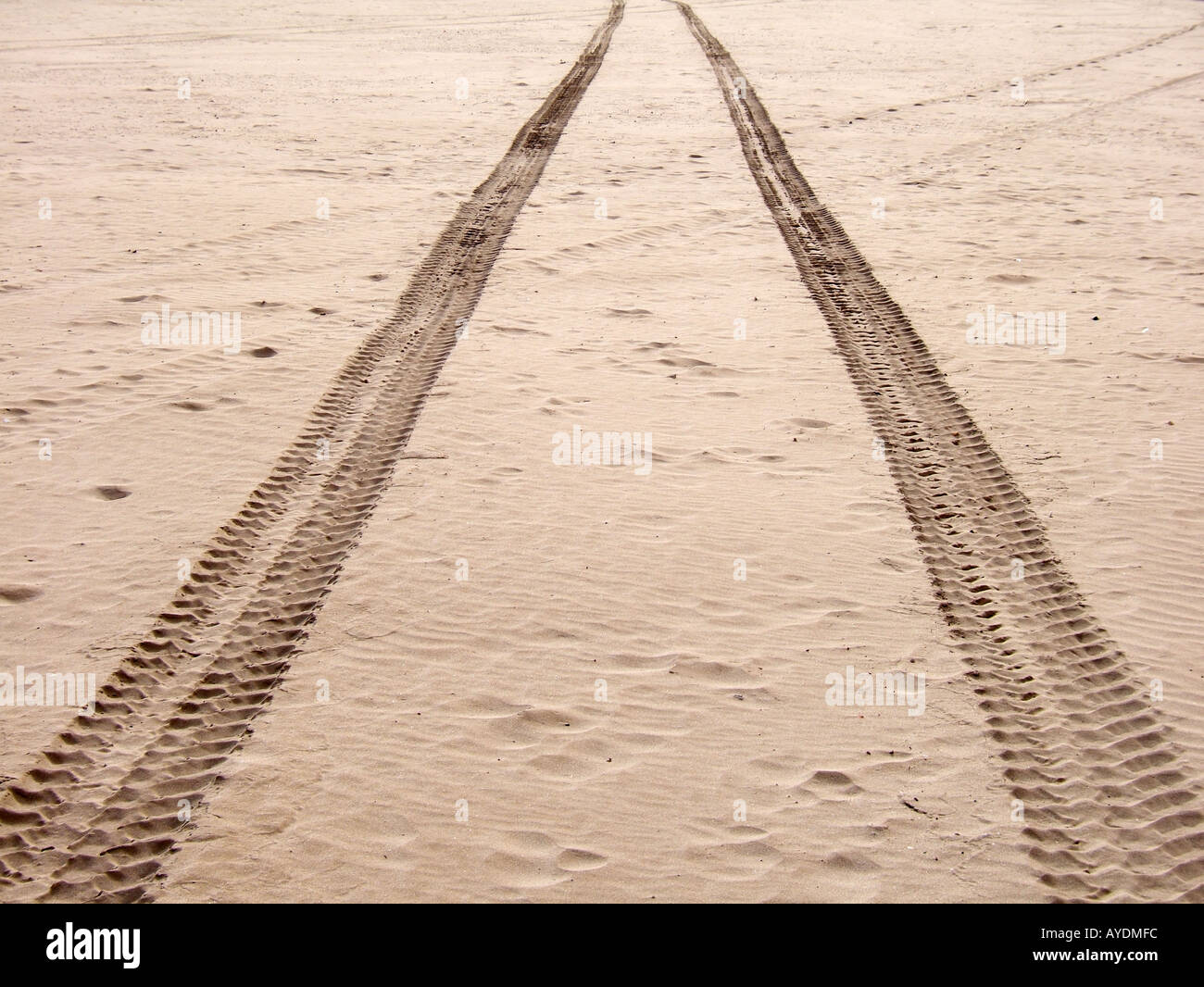 car tracks in sand Stock Photo - Alamy