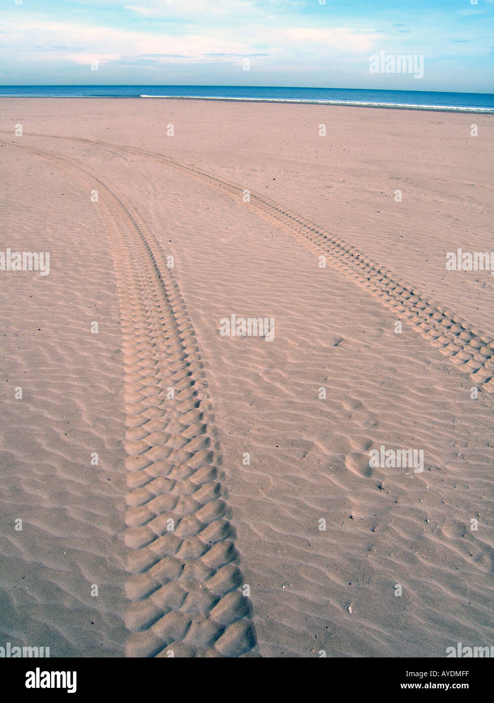 car tracks in sand Stock Photo - Alamy