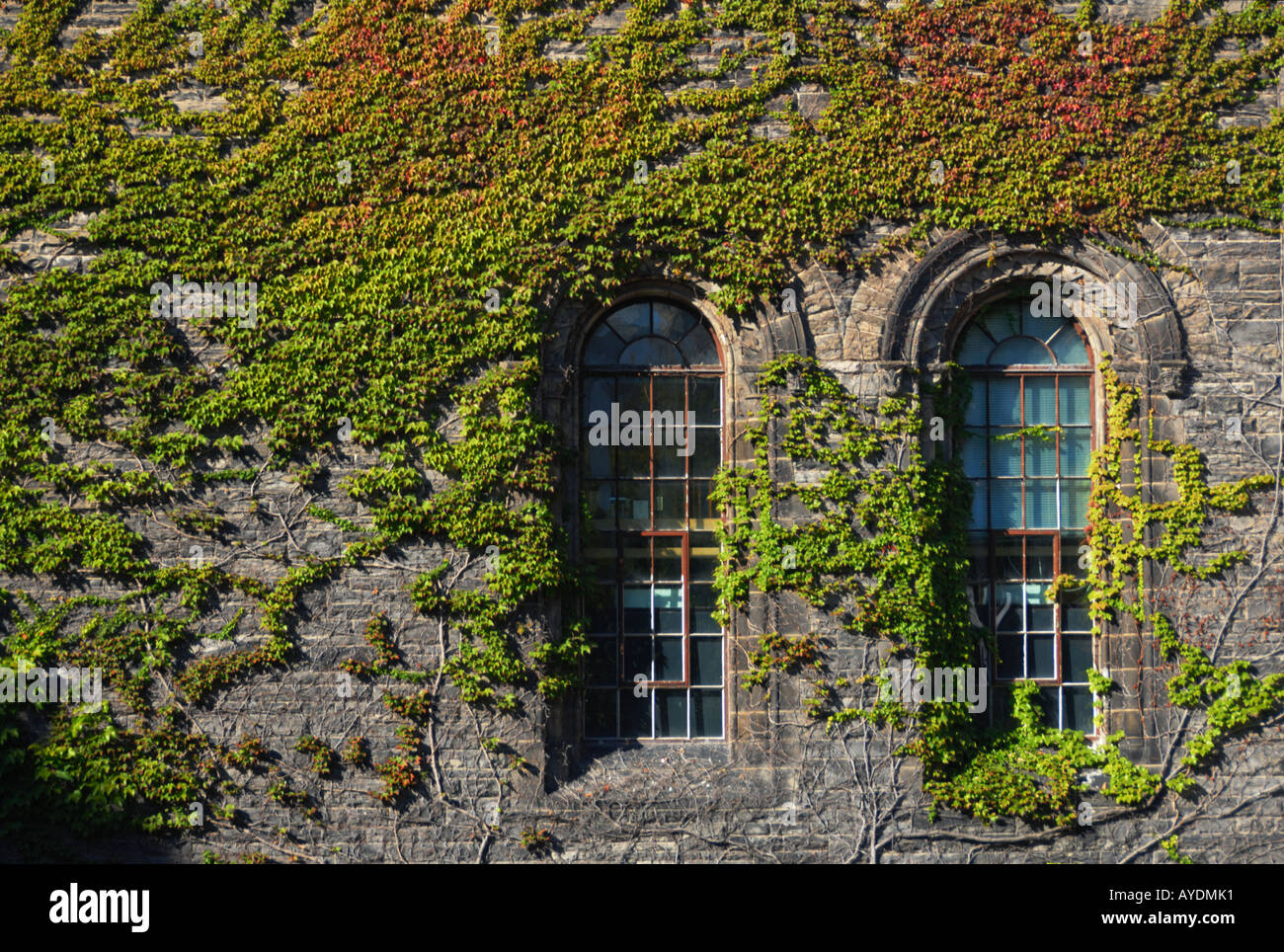 Toronto old neighbourhood hi-res stock photography and images - Alamy