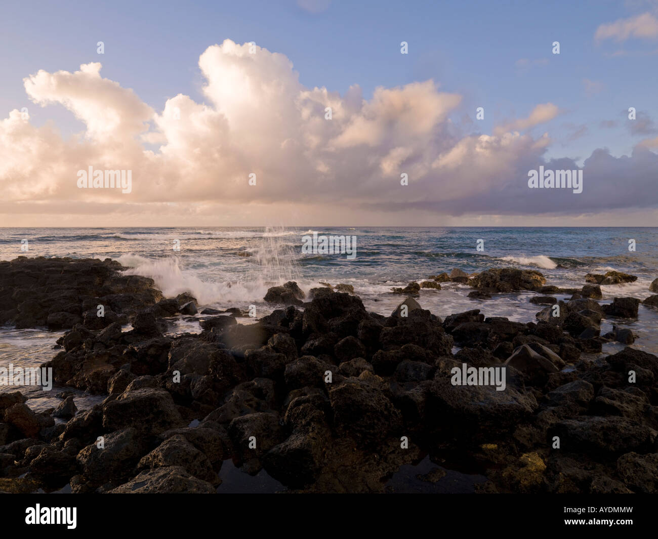 Rocks on the shore, Poipu, Kauai, Hawaii Stock Photo - Alamy