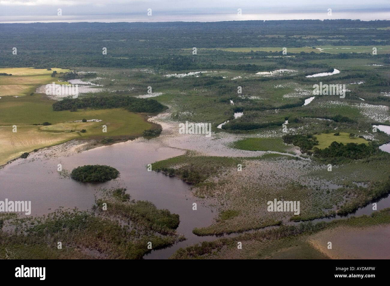 Aerial of swamp land, savannah, and tropical primary African rainforest ...
