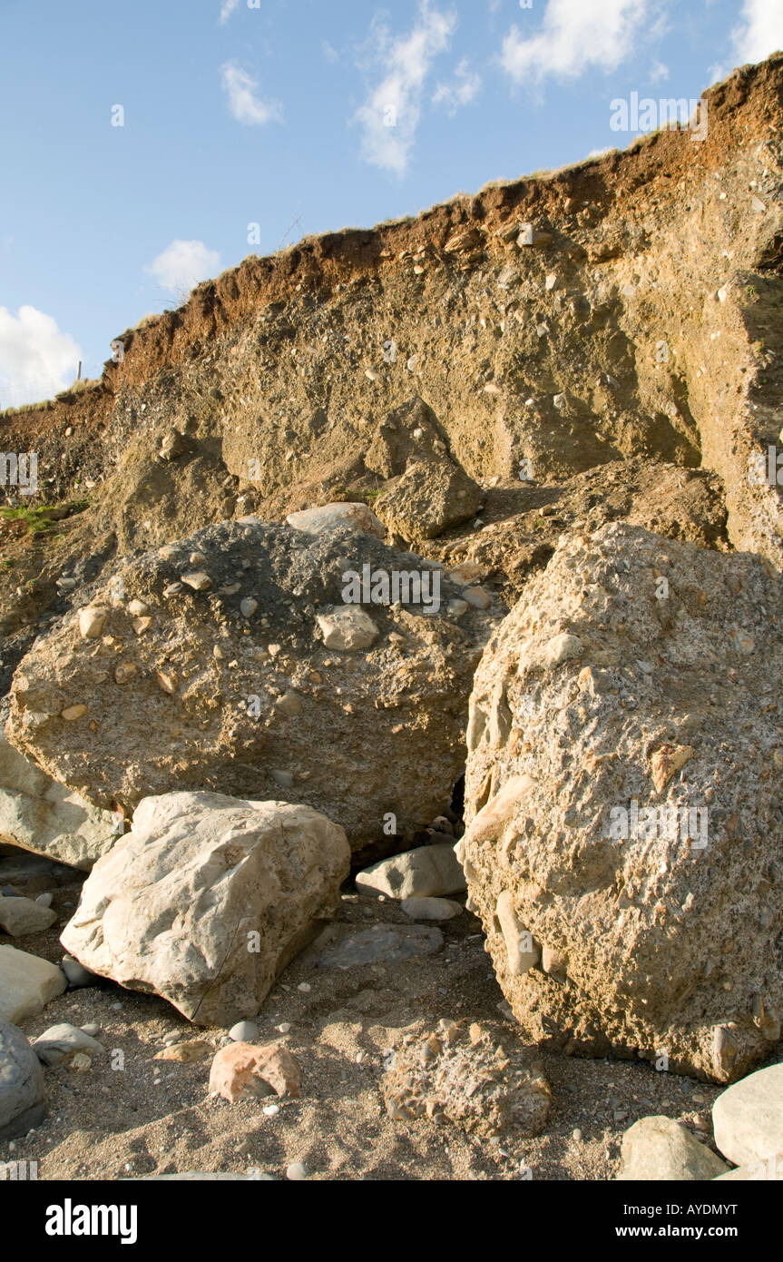 Erratic boulders embedded in glacial till exposed by coastal erosion on ...