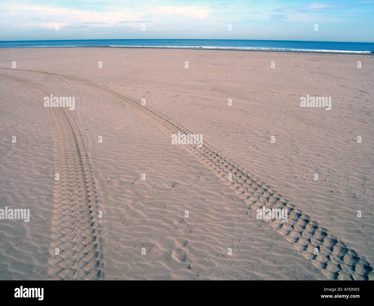 car tracks in sand Stock Photo - Alamy