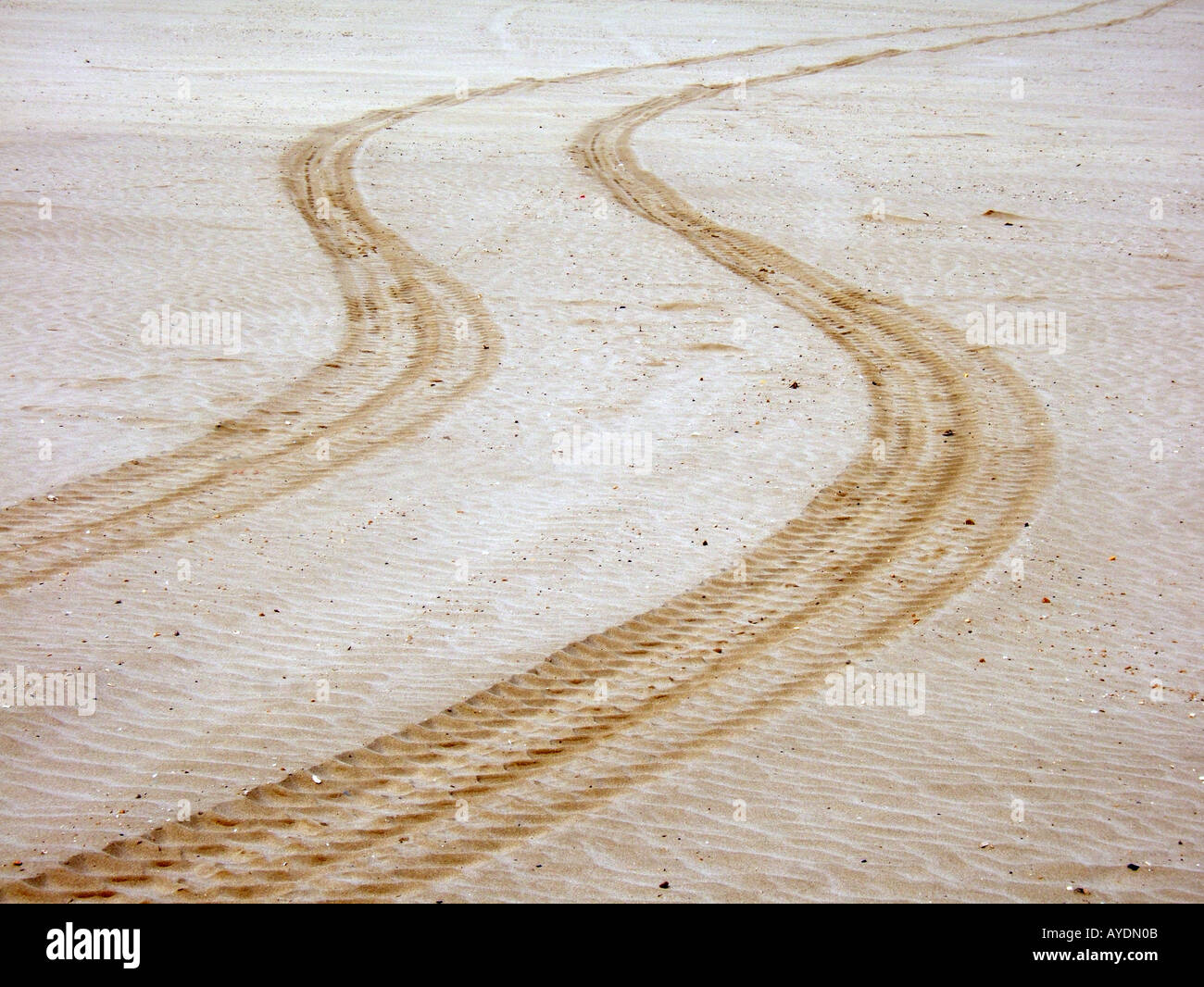 car tracks in sand Stock Photo - Alamy