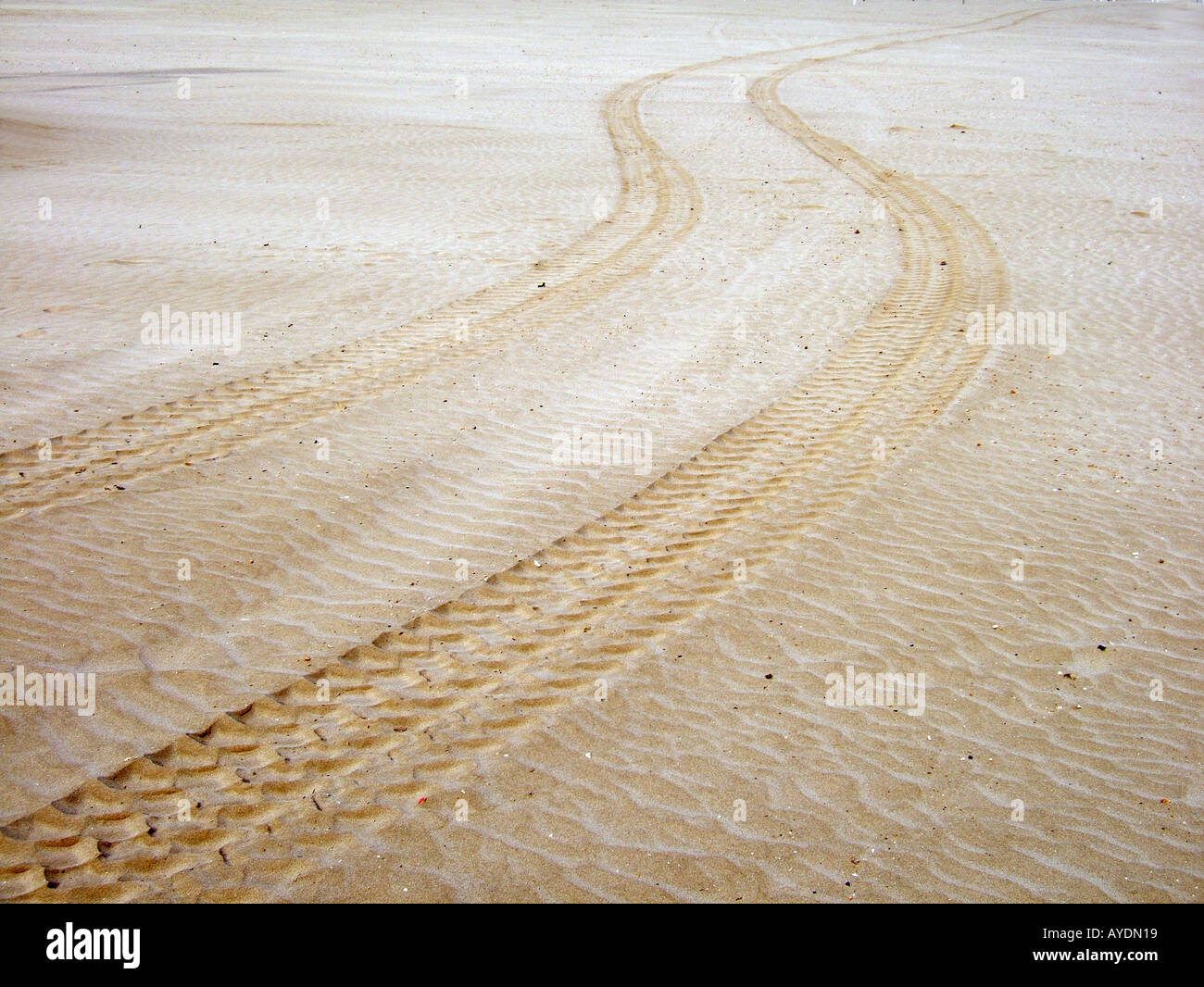car tracks in sand Stock Photo - Alamy