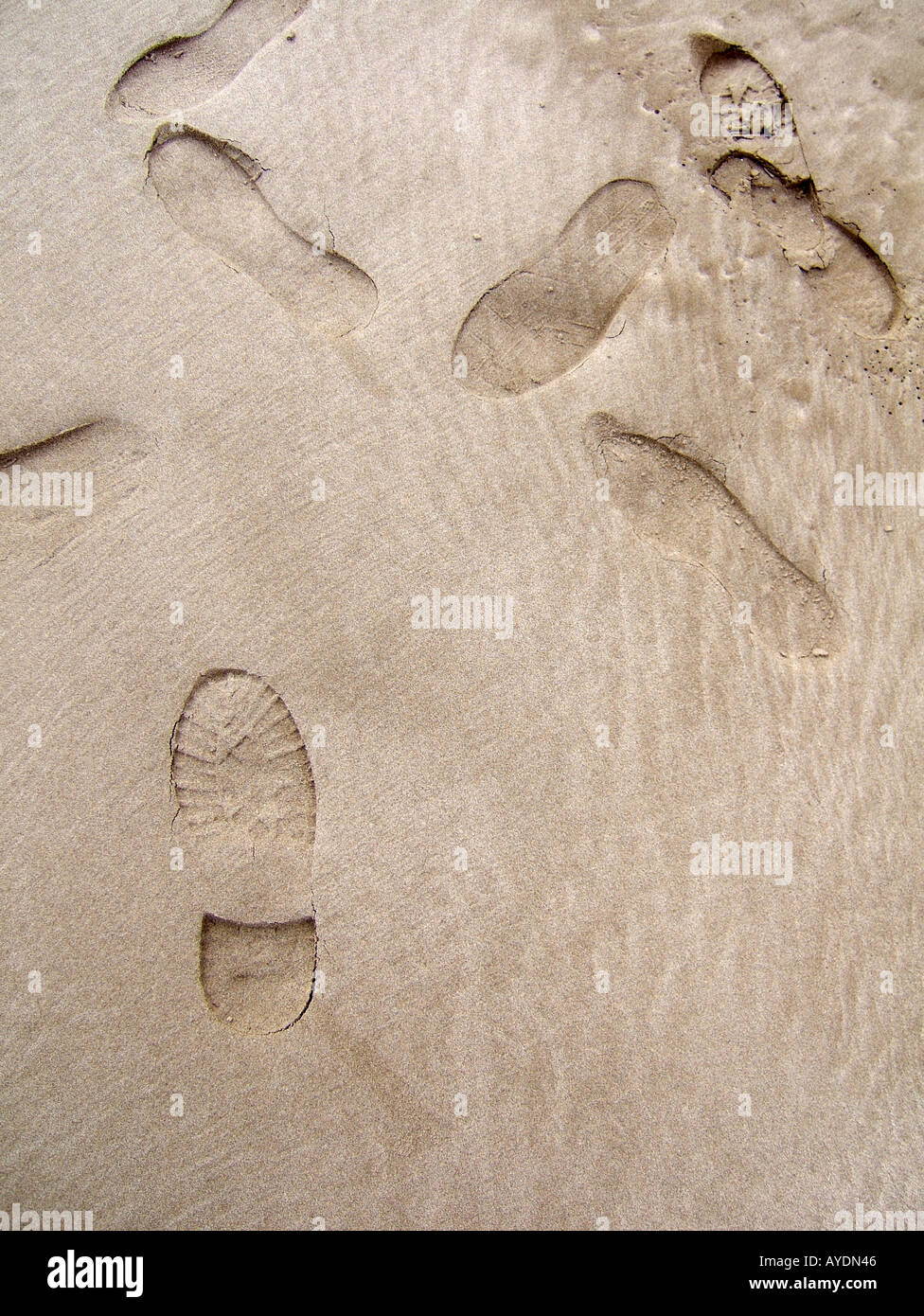 footsteps in sand Stock Photo - Alamy