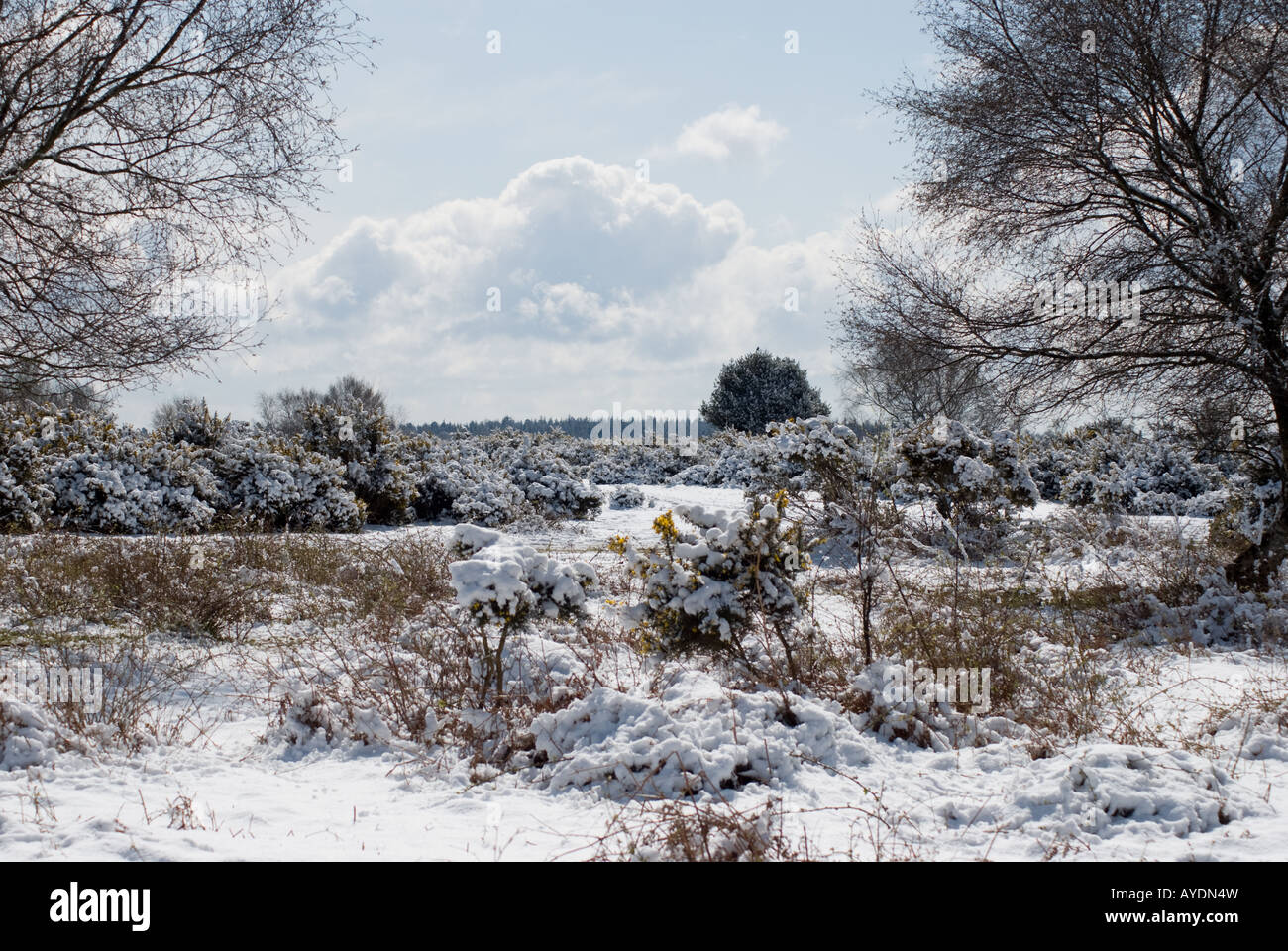 New hampshire winter scenic hi-res stock photography and images - Alamy