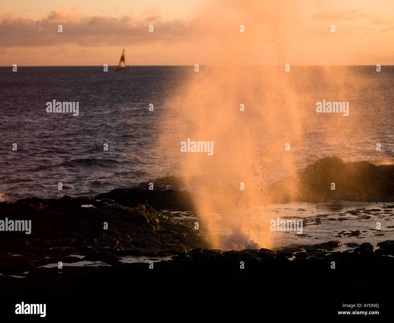 Wave horn hi-res stock photography and images - Alamy