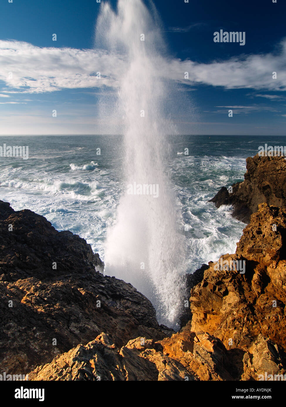 Wave spouting in Northern California coast Stock Photo - Alamy