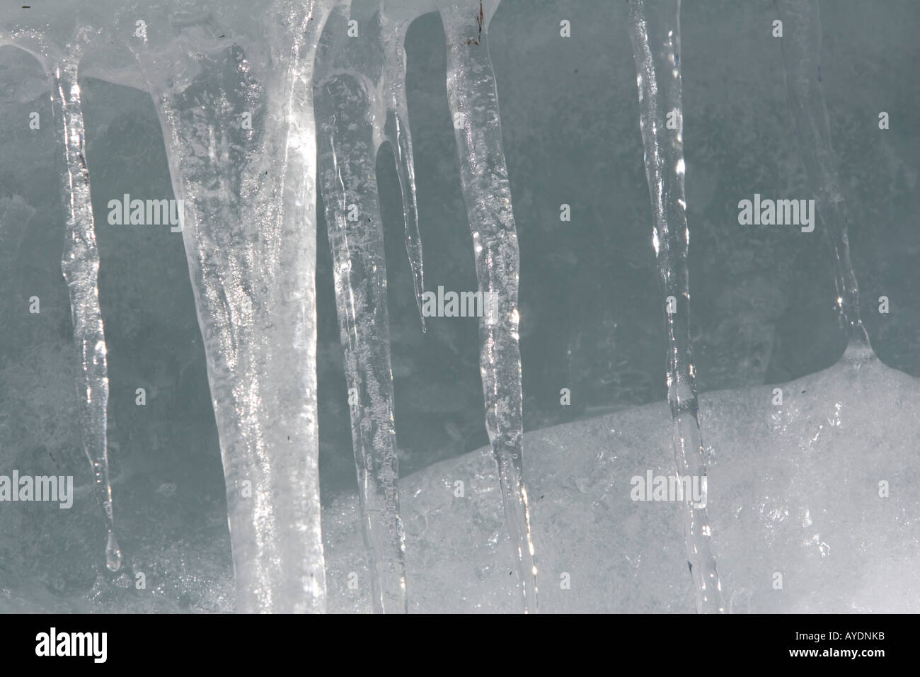 Icicles formed by melting snow Stock Photo - Alamy