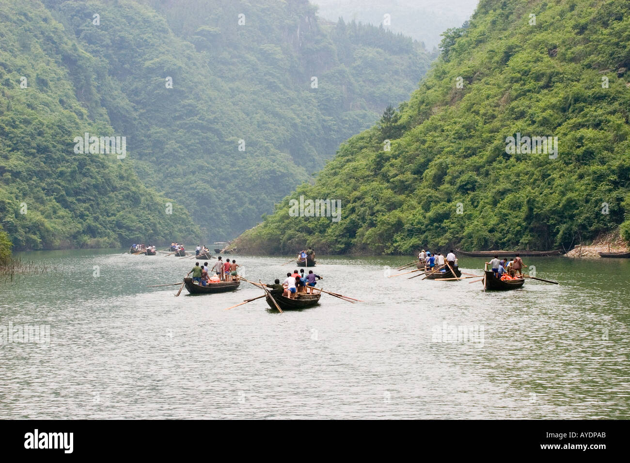 Chinese Men Rowing Boat High Resolution Stock Photography and Images ...