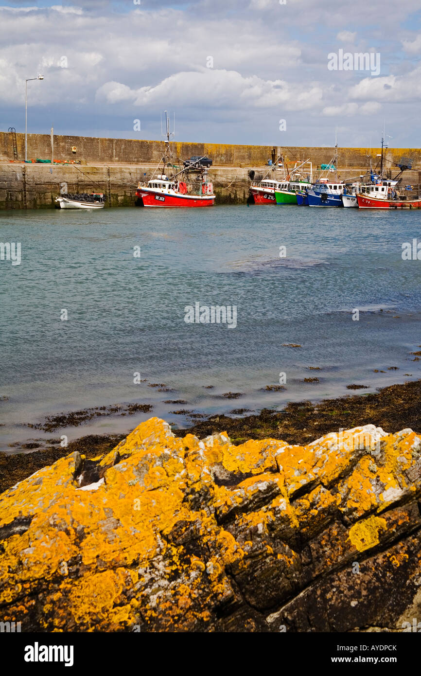 Helvick head pier hi-res stock photography and images - Alamy