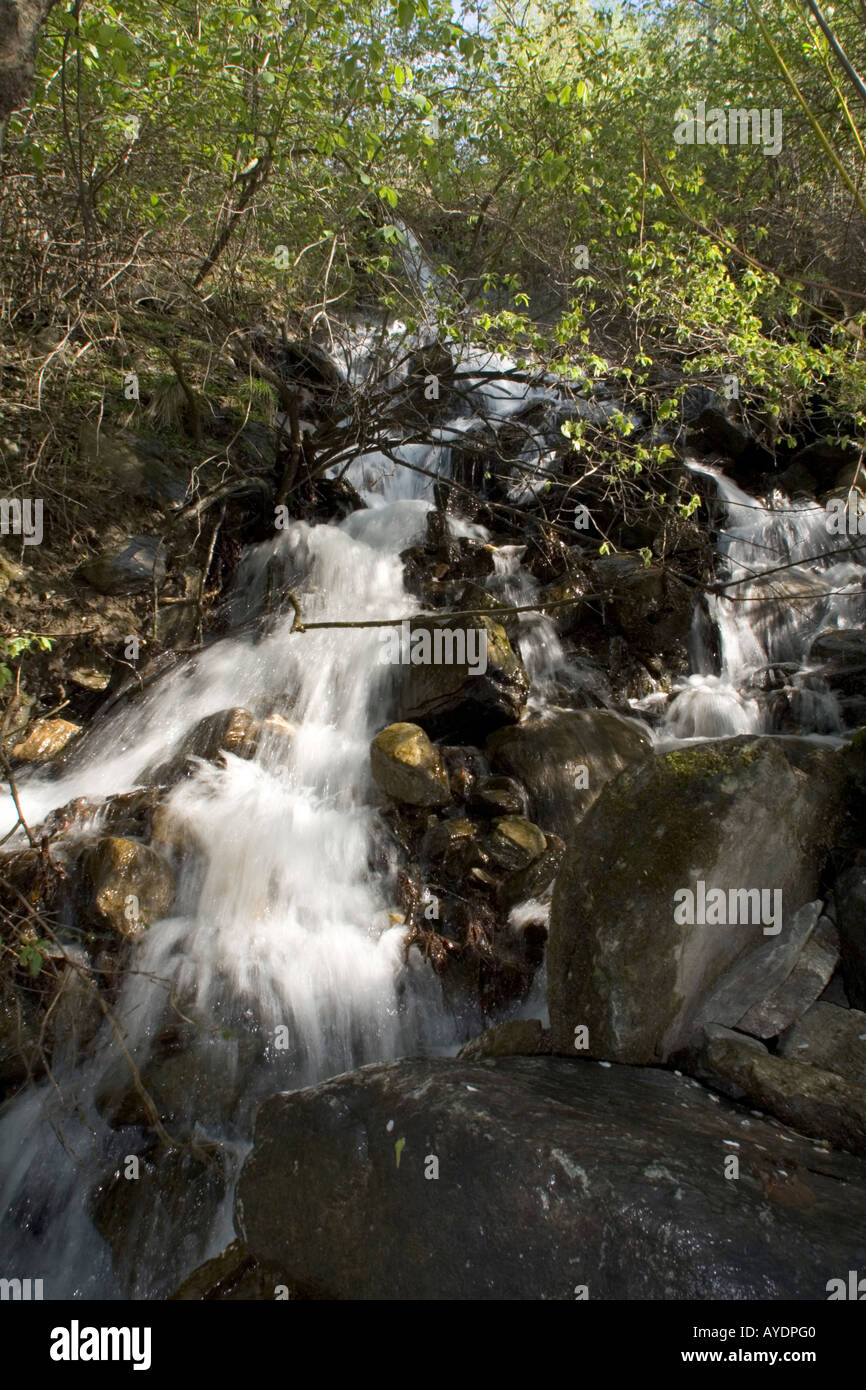 Fast flowing mountain stream Stock Photo - Alamy