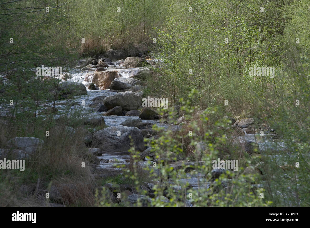 mountain river fed by glacial water Stock Photo - Alamy