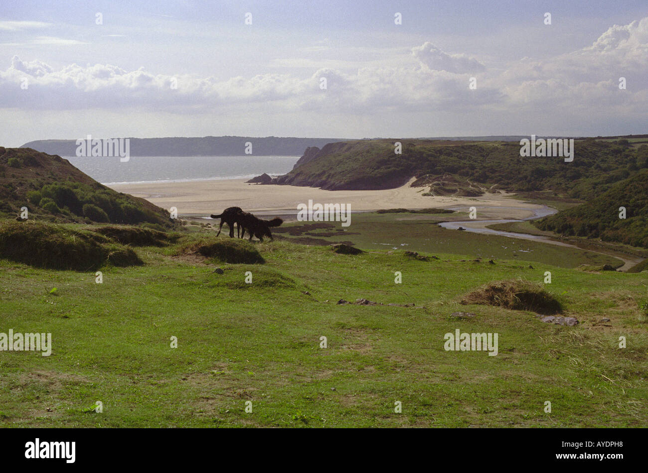 View from Pennard Castle Stock Photo - Alamy