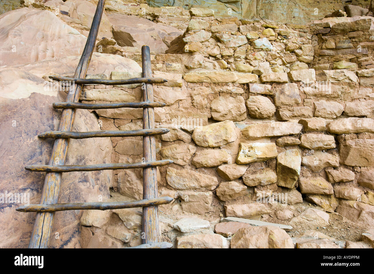 Close-up of a ladder in a native American pueblo, Mesa Verde National ...