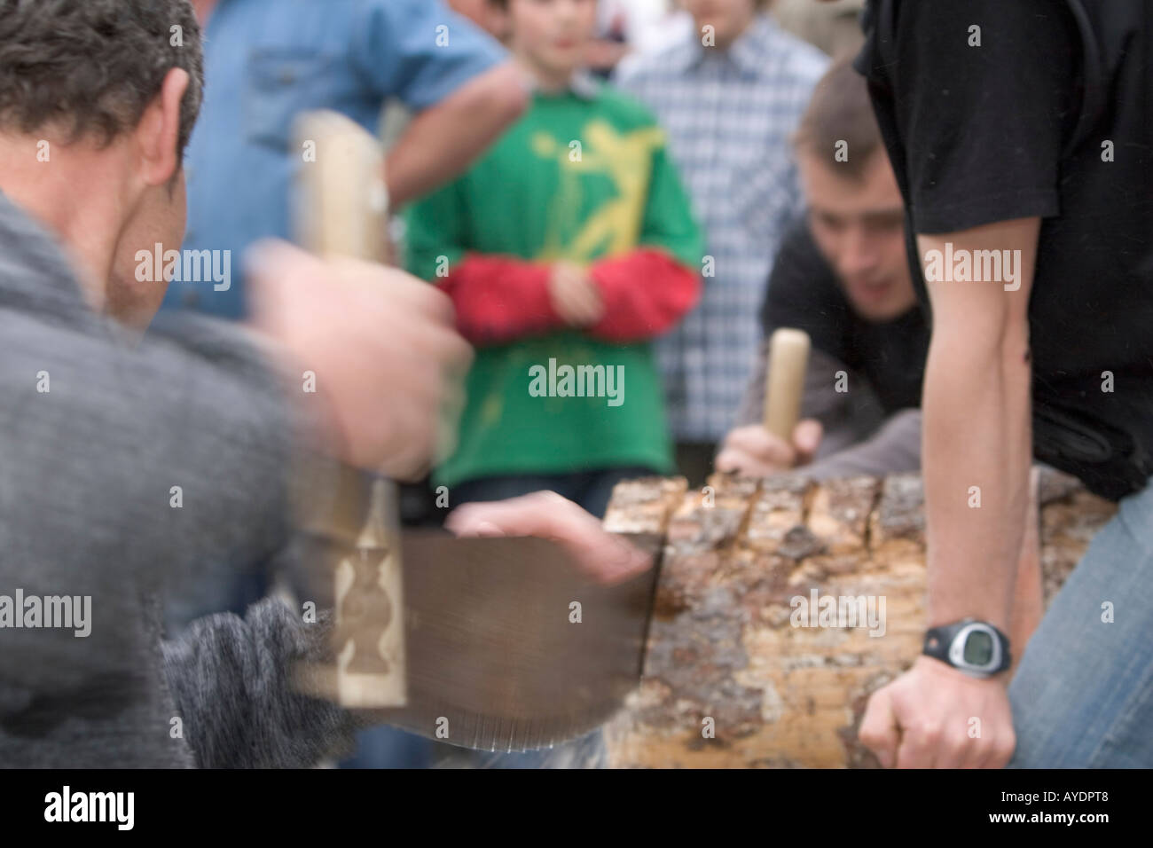 Log sawing contest hi-res stock photography and images - Alamy