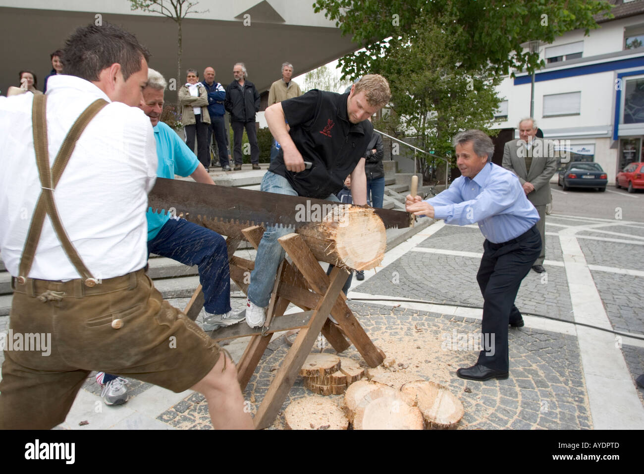Sawing Contest High Resolution Stock Photography and Images - Alamy