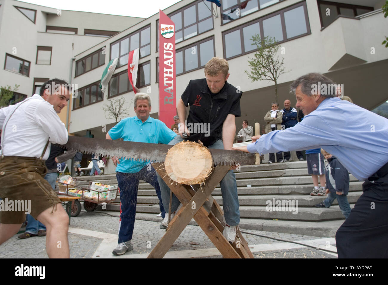 Log sawing contest, Laces, South Tyrol, Italy Stock Photo - Alamy