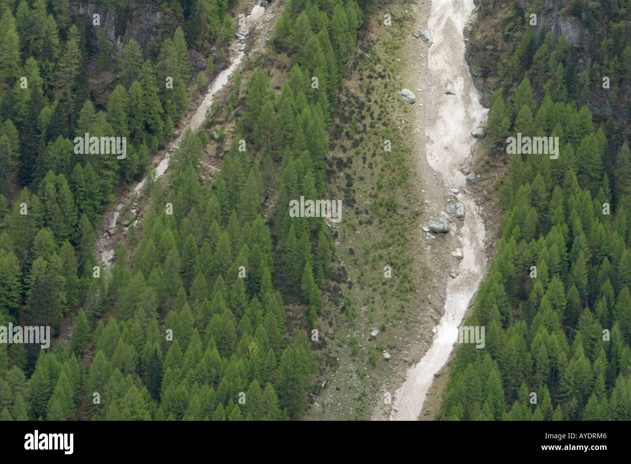 Landslide through forested mountainside Stock Photo - Alamy