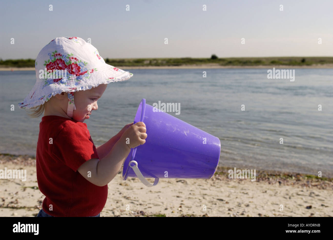 Bailey at Beach Gordon M Grant Photo Stock Photo - Alamy