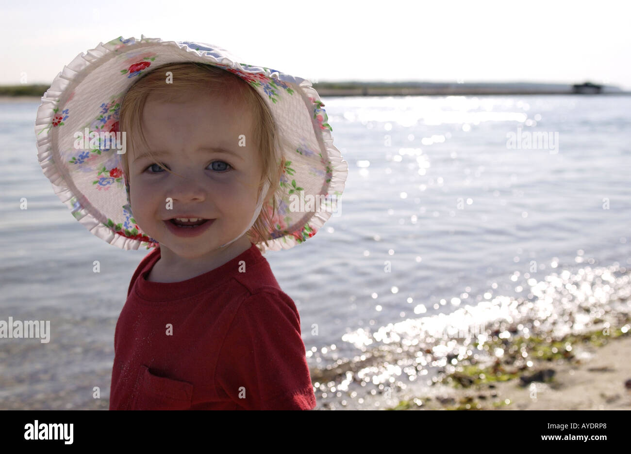 Bailey at Beach Gordon M Grant Photo Stock Photo - Alamy