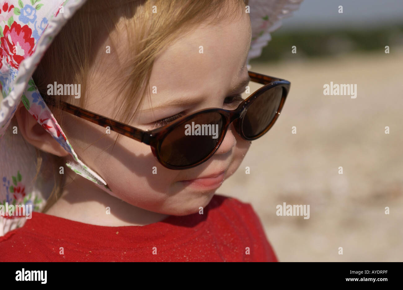 Bailey at Beach Gordon M Grant Photo Stock Photo - Alamy