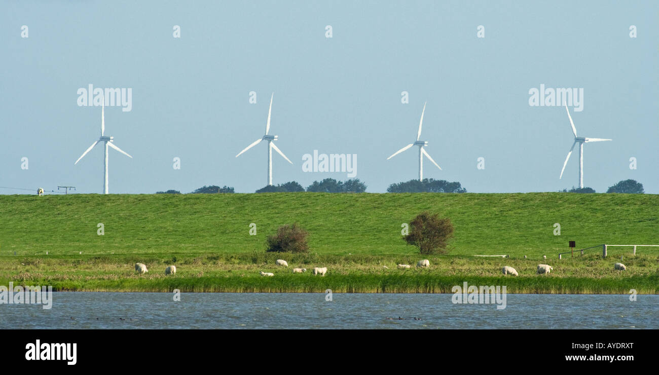 coast line the north sea Stock Photo - Alamy