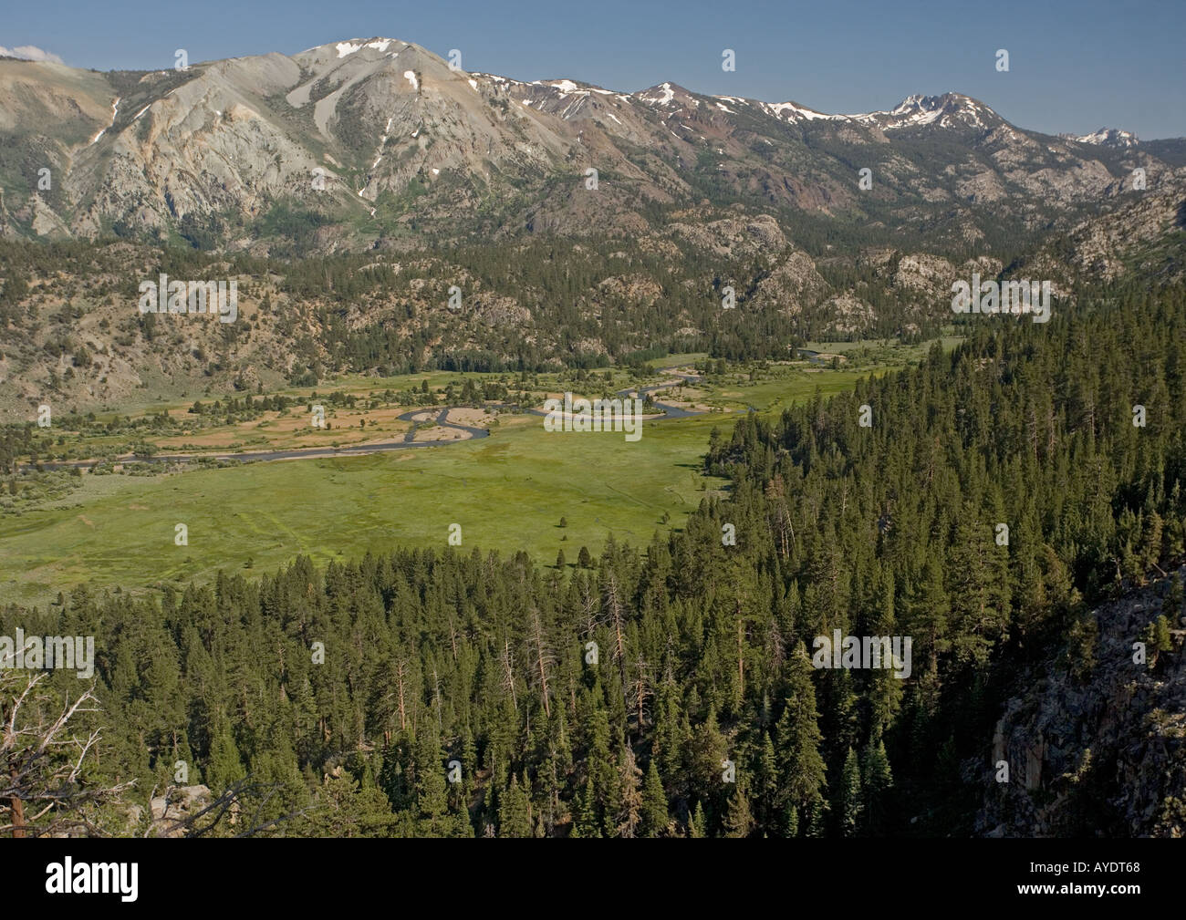 Pickel meadow wildlife area hi-res stock photography and images - Alamy