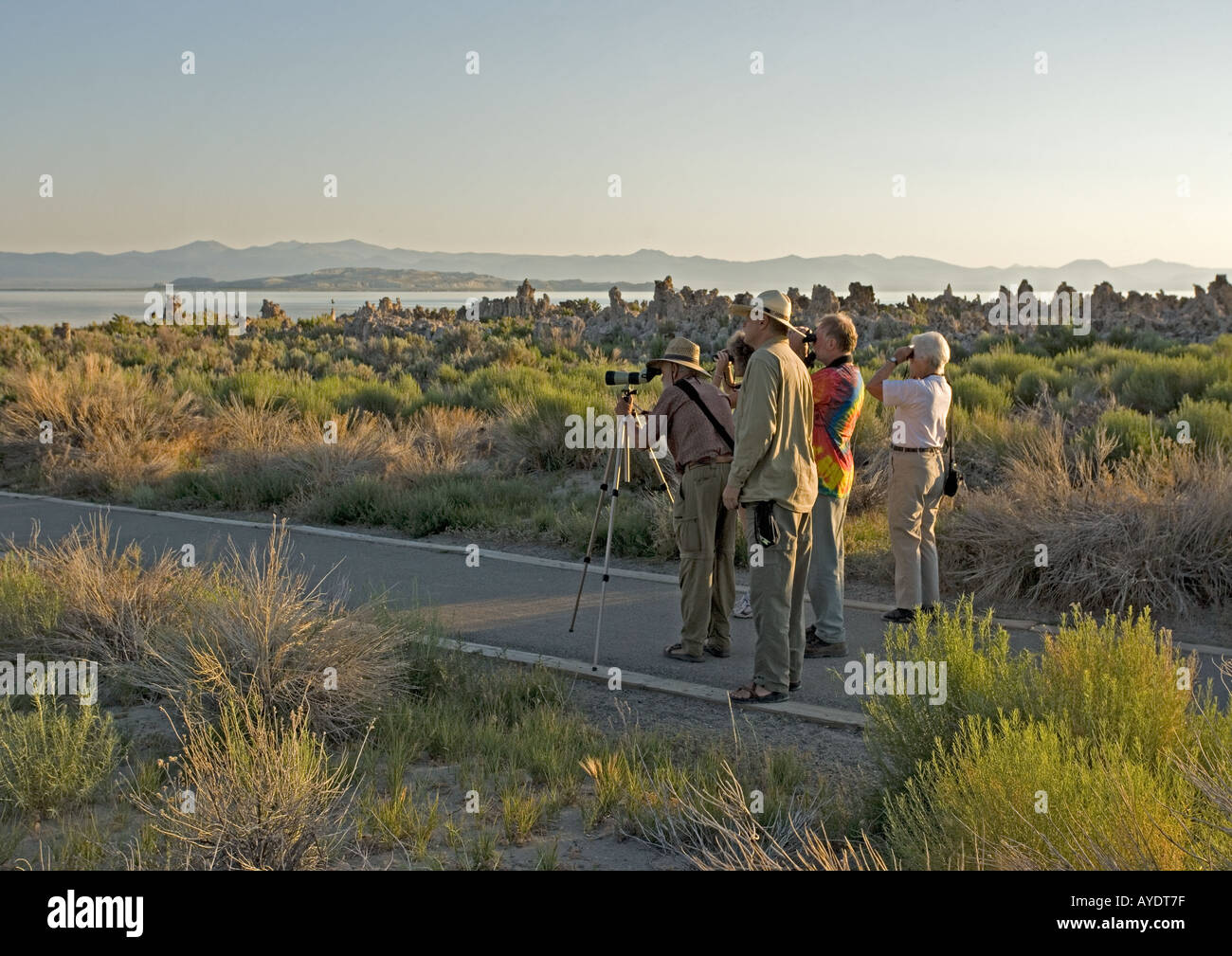 Bird watching group by Mono Lake at dawn, California, USA Stock Photo ...
