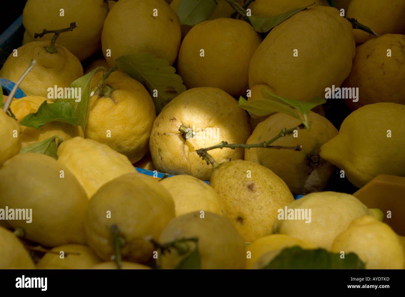 Italian lemons on market stall Stock Photo - Alamy