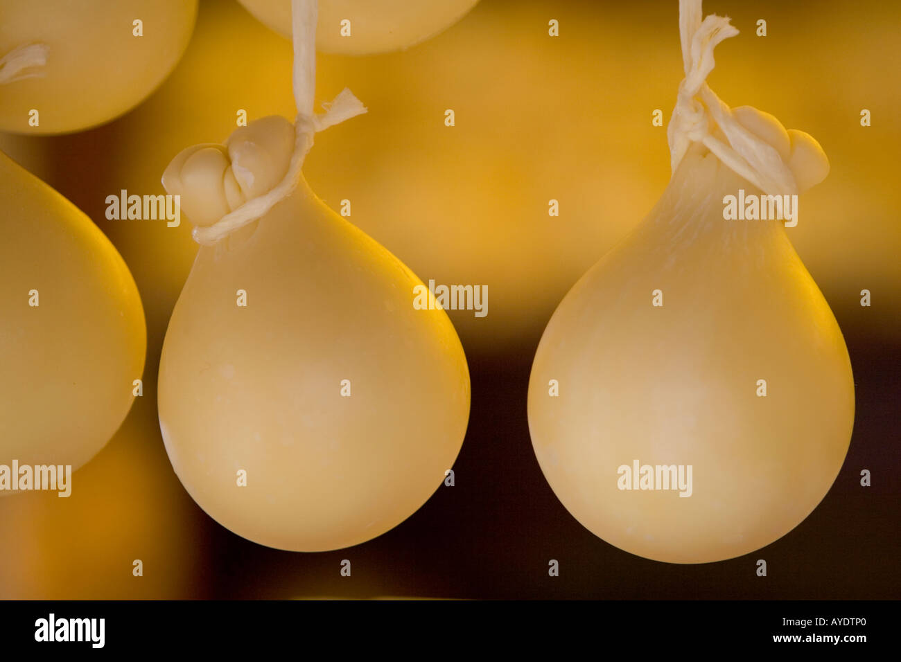 Caciocavallo Podolico cheese hanging in a market, Vieste, Gargano ...