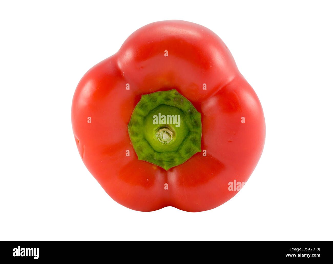 the single red pepper isolated on white background Stock Photo - Alamy