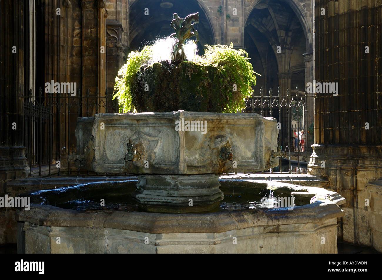 A water fountain inside Barcelona Cathedral (La Seu) in the Gothic ...