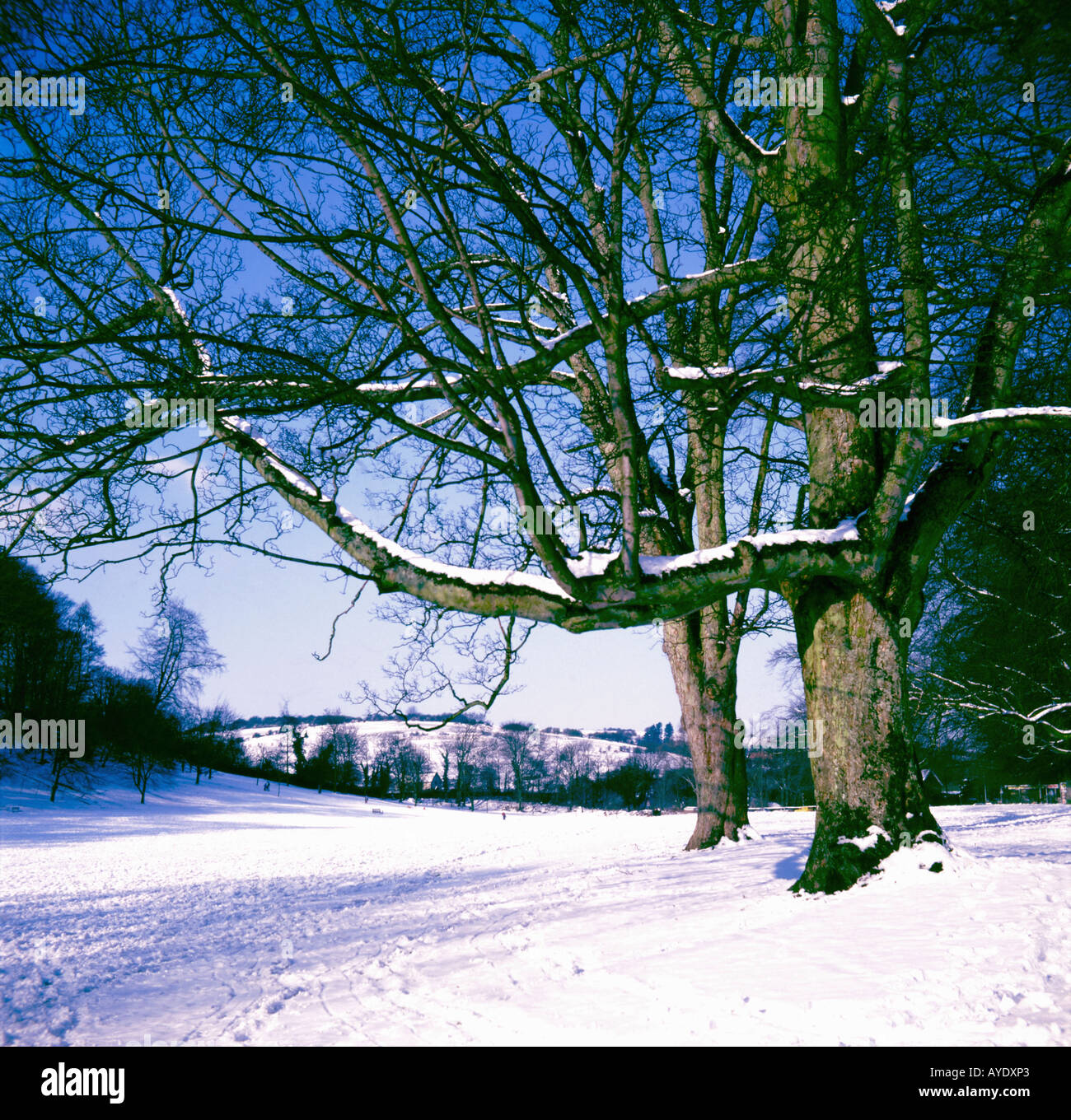 Patcham Place in Winter, Brighton, East Sussex, England, UK, United ...