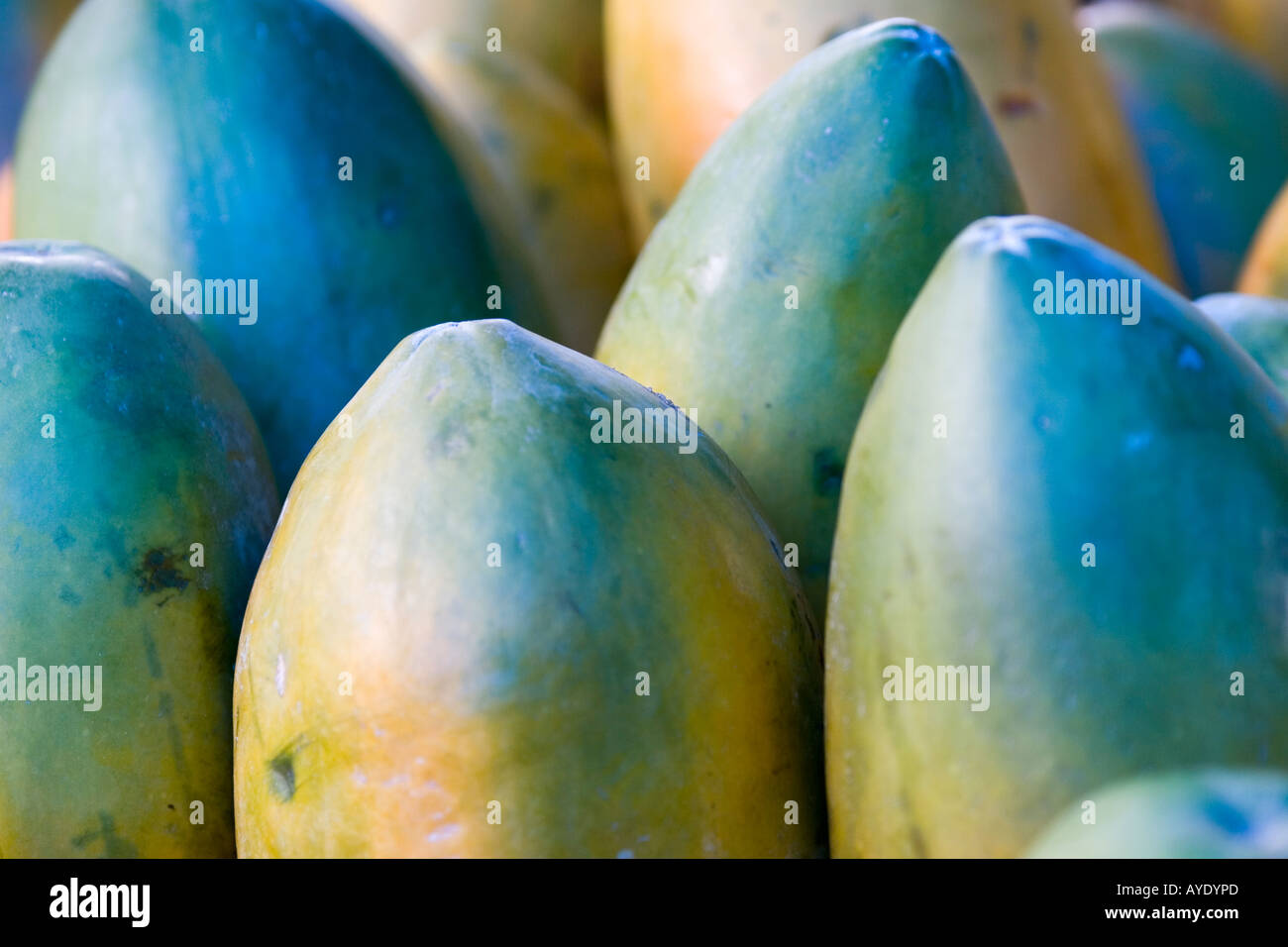 Costarican hi-res stock photography and images - Alamy