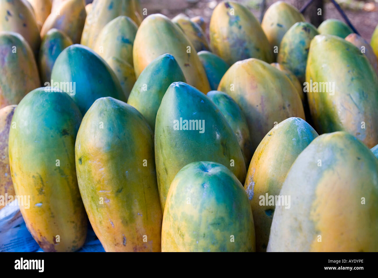 Costarican hi-res stock photography and images - Alamy