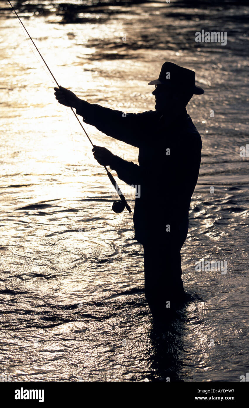 Fly fishing Upper Murray River near Towong Victoria Australia vertical ...