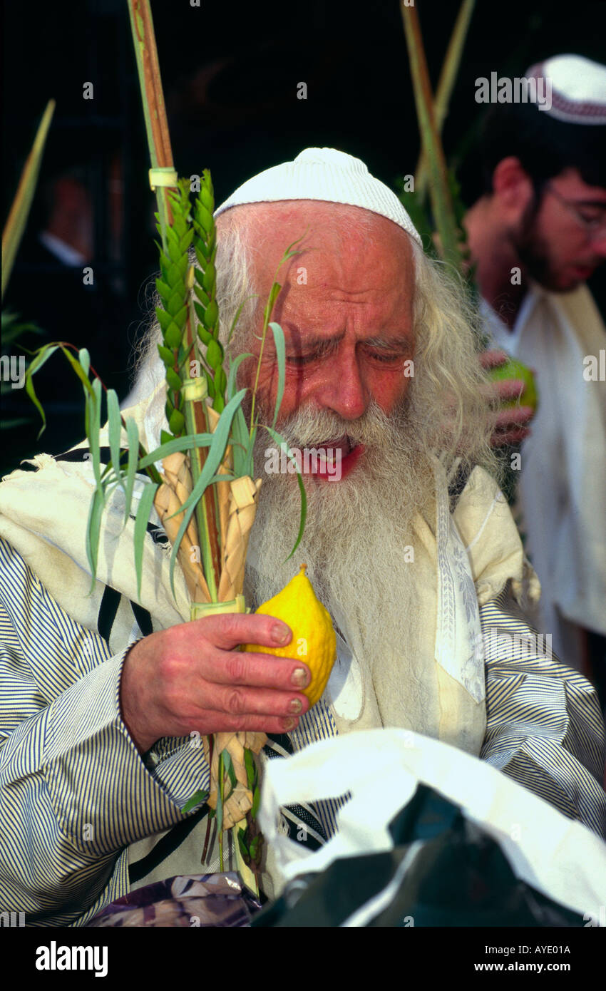 Israel Jerusalem Old City Western Wall orthodox jew praying with a ...