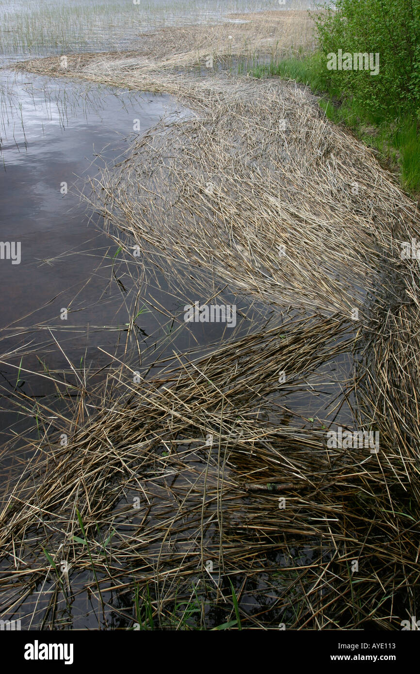 Loose floating hi-res stock photography and images - Alamy