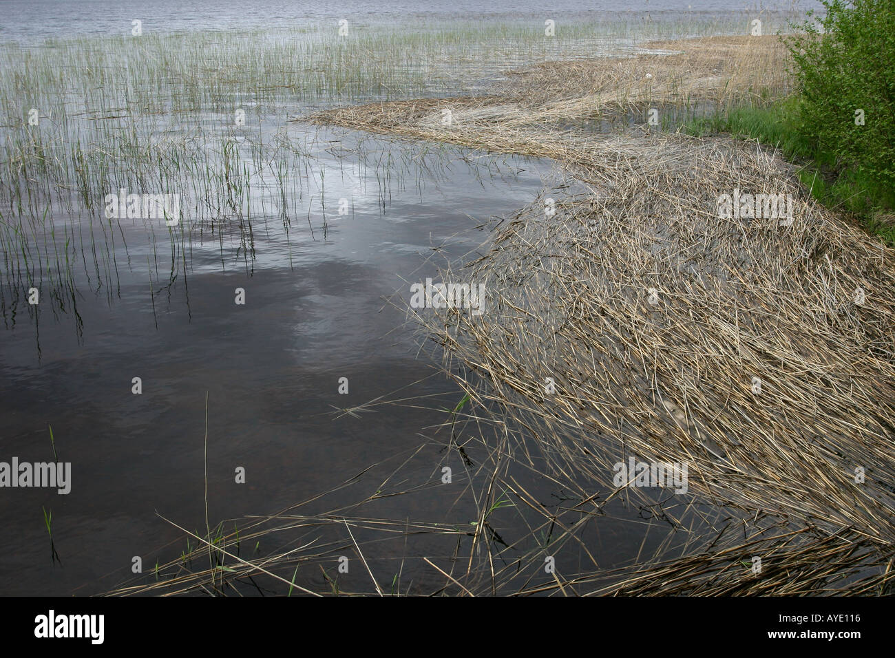 Loose floating hi-res stock photography and images - Alamy