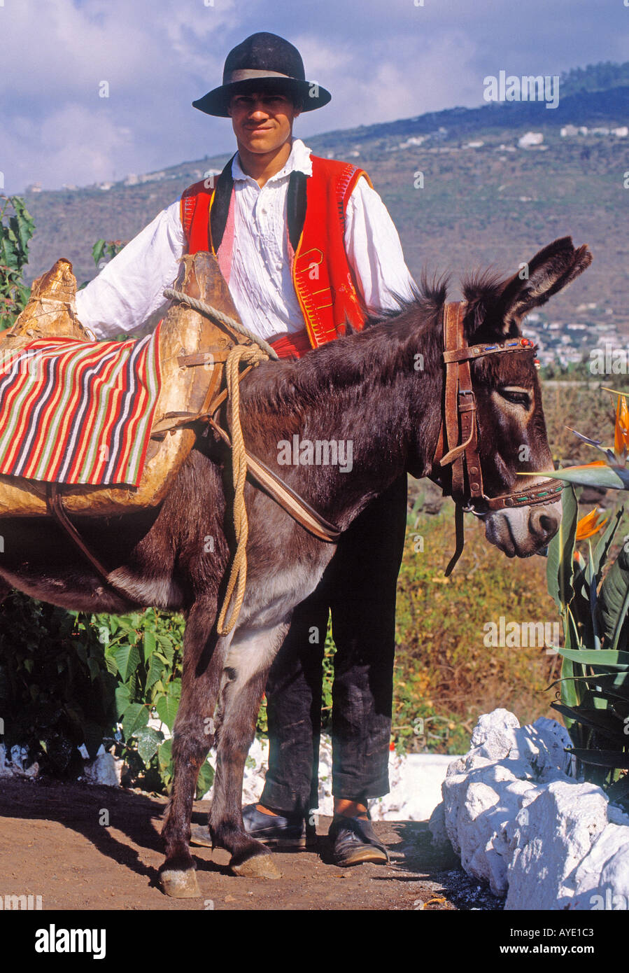 Tenerife Canary Islands Spain Young man in Traditional costume with ...