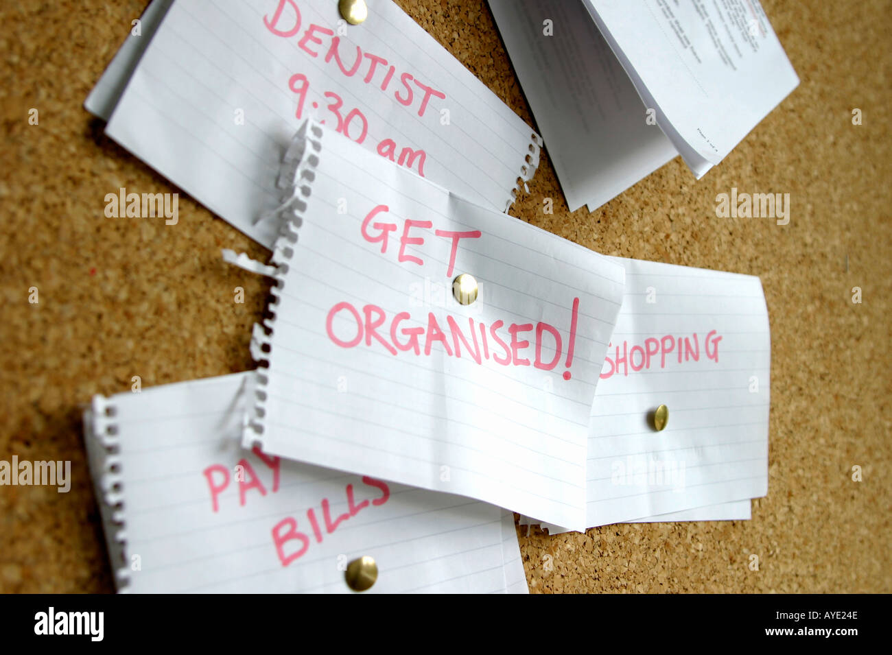 LANDSCAPE SHOT SHOWING MULTIPLE REMINDERS OF VARIOUS ACTIONS AND ...