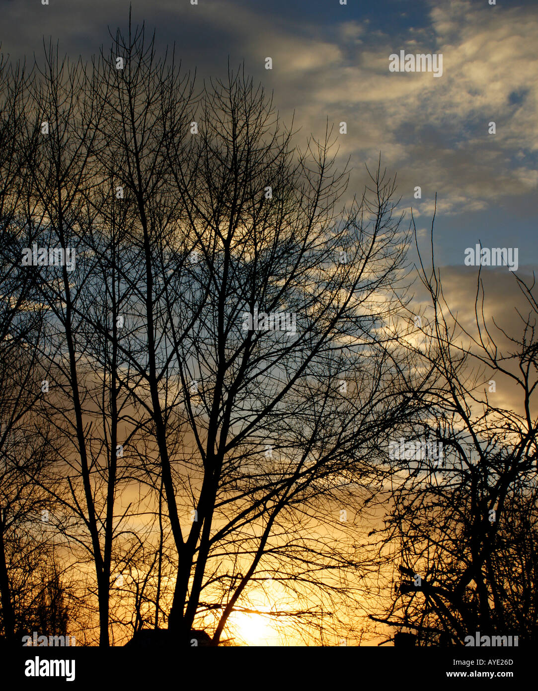 First british shot hi-res stock photography and images - Alamy