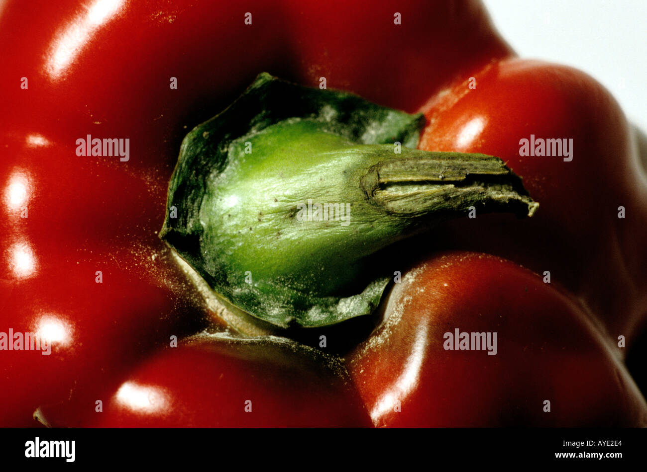 Pepper Still life Studio light Stock Photo - Alamy