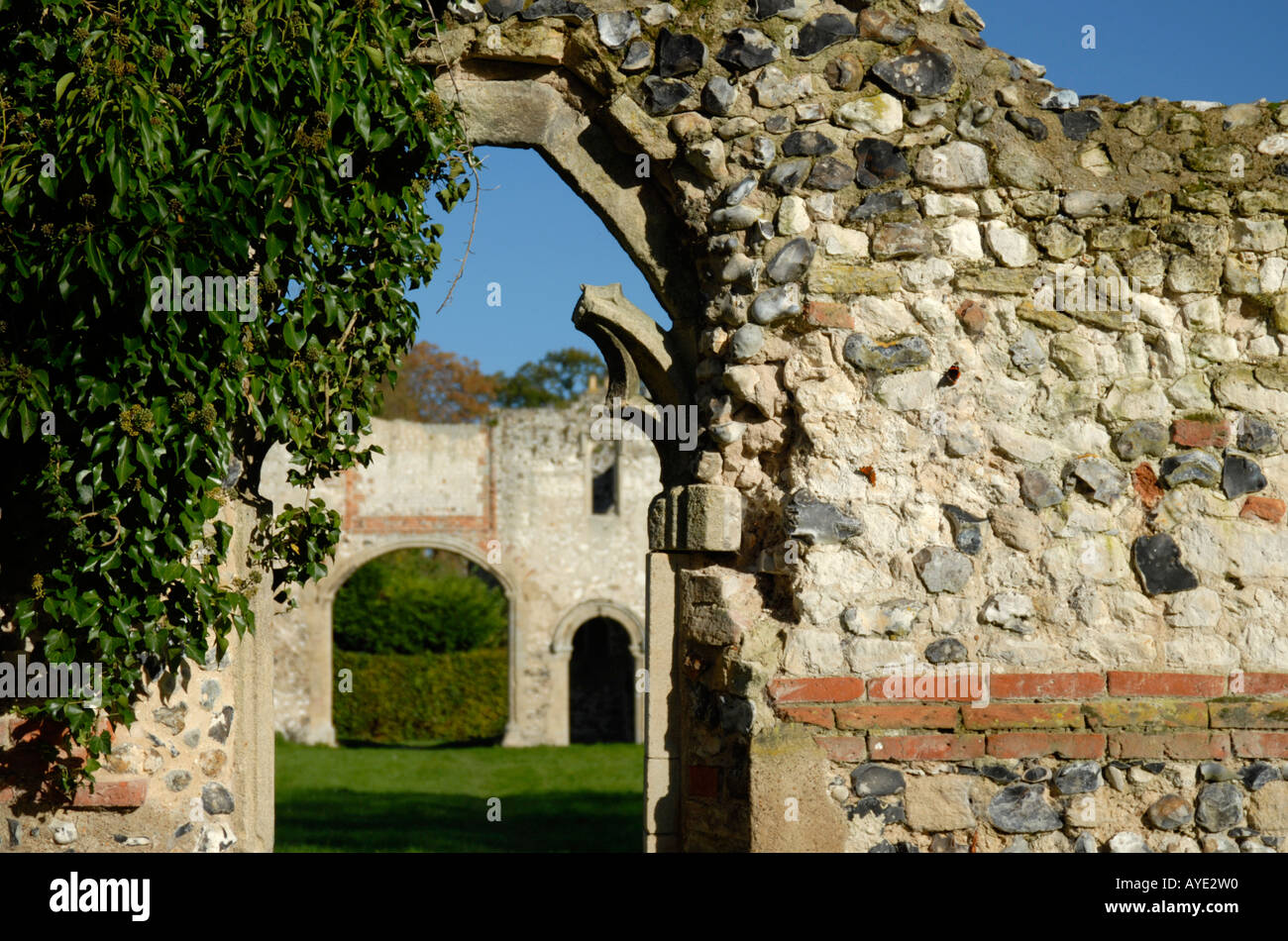 Cluniac Priory ruins Thetford Norfolk UK Stock Photo - Alamy